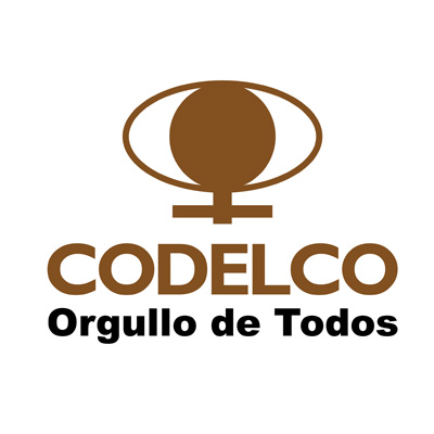 Verificaciones - CODELCO - Reporte de Sustentabilidad 2014